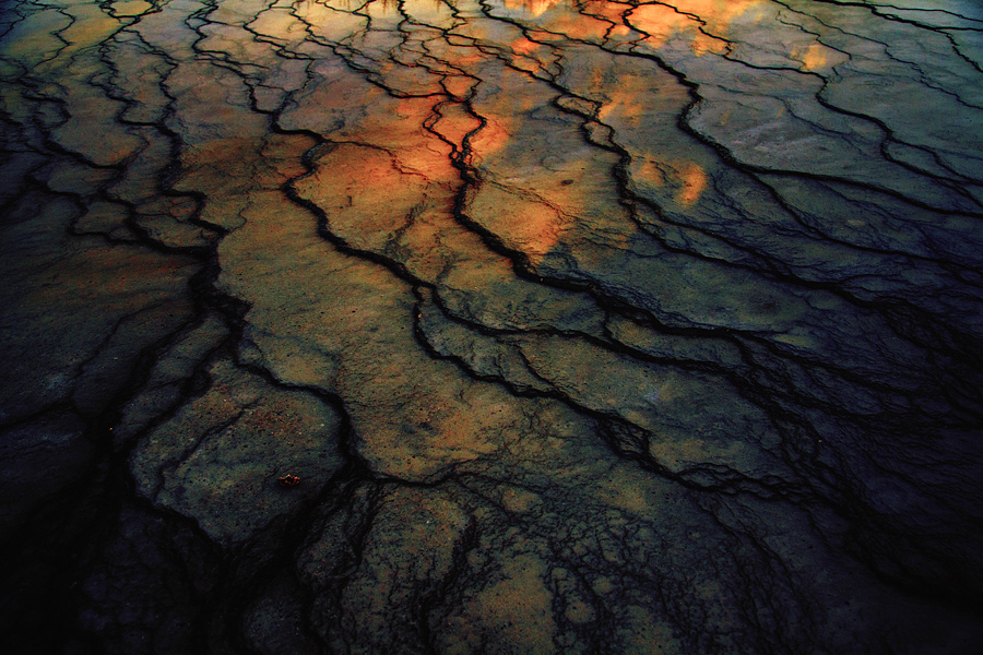 Tim Navis - beehuge™beehuge™